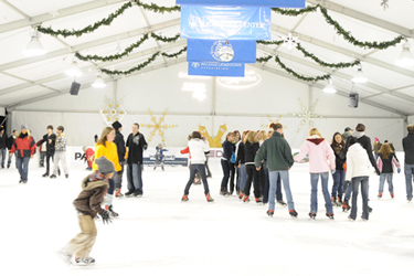 Bellevue Events & Happenings - Things to do in Bellevue, Events in ...